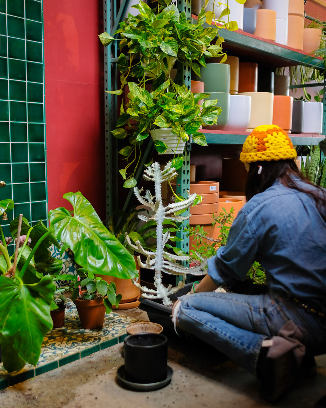 Fertilizer 101 – Tula House